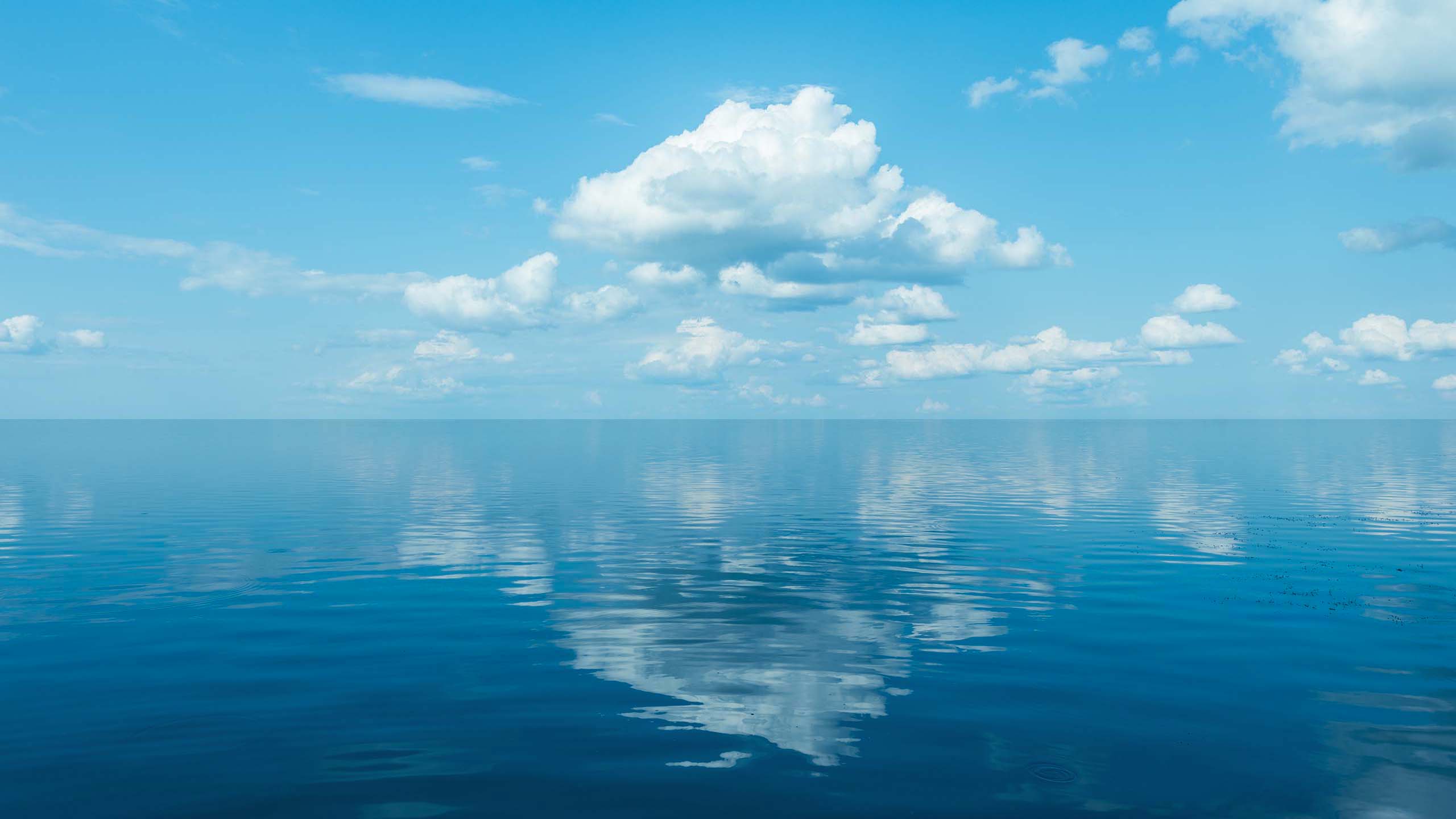 Sustainable Seafood Solutions