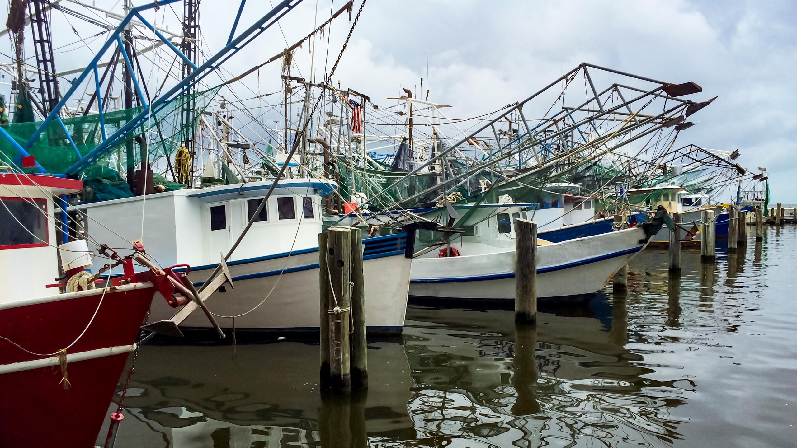 Sustainable Seafood Solutions