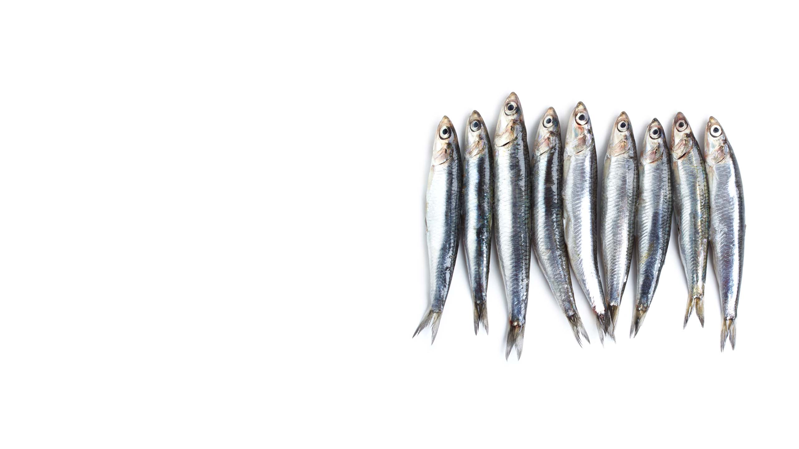 Sustainable Seafood Solutions